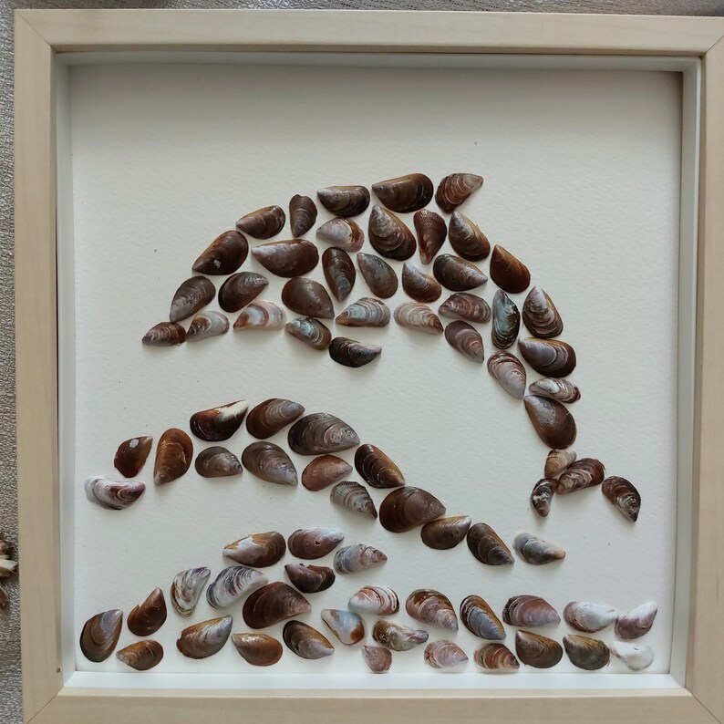 Dolphin Seashell Decor Mussel Seashell Art Dolphin Framed 99 - Etsy