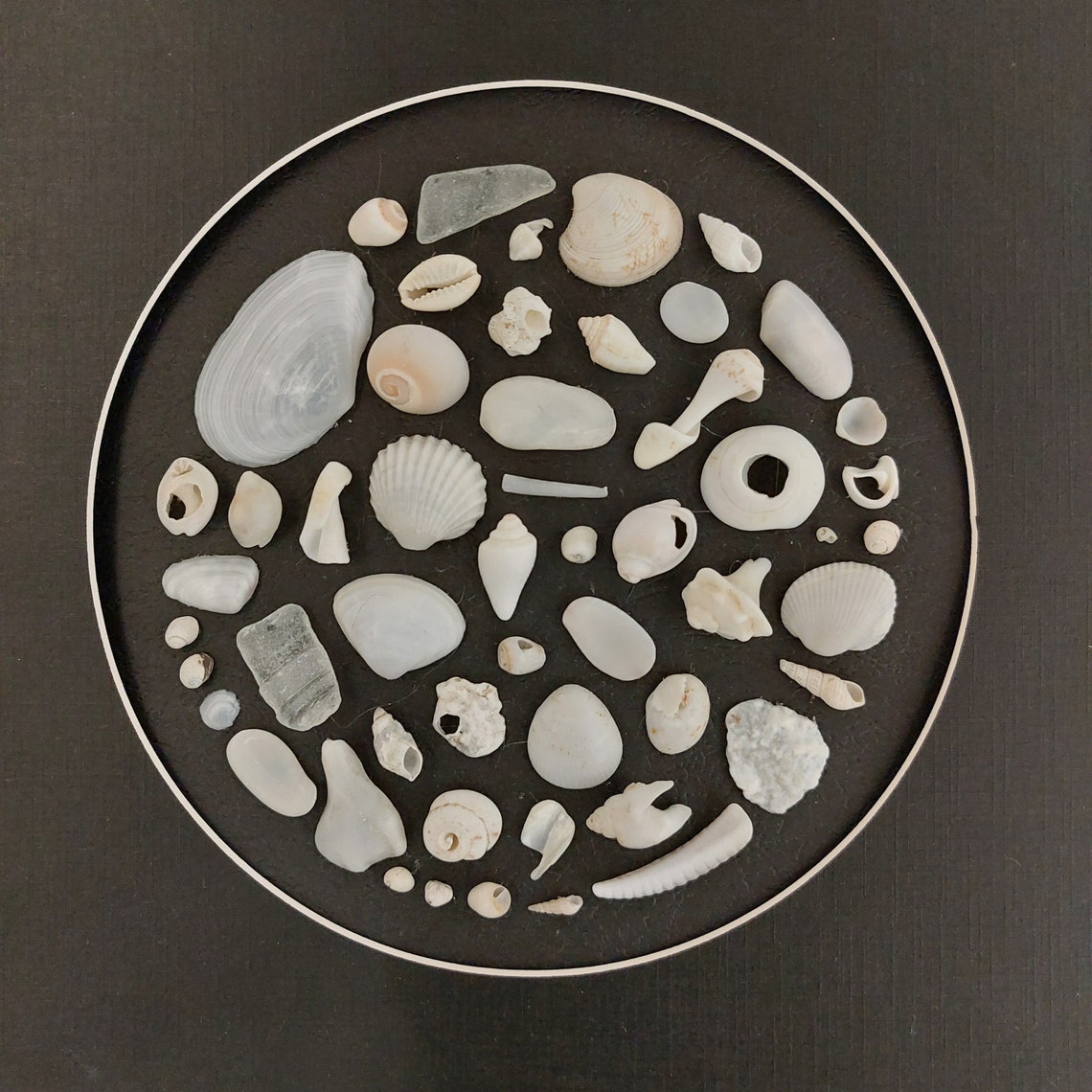 Set Mosaic Seashell Art Circle Yellow White Seashell Wall Decor Collage ...