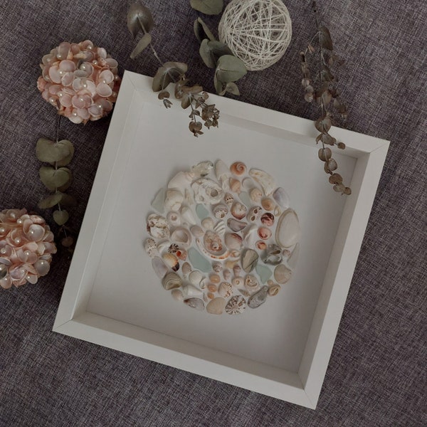 Seashell Shadow Box - Etsy