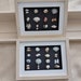 Seashell Collection Set of 2 Sea Shells Wall Art Seashell Mosaic ...