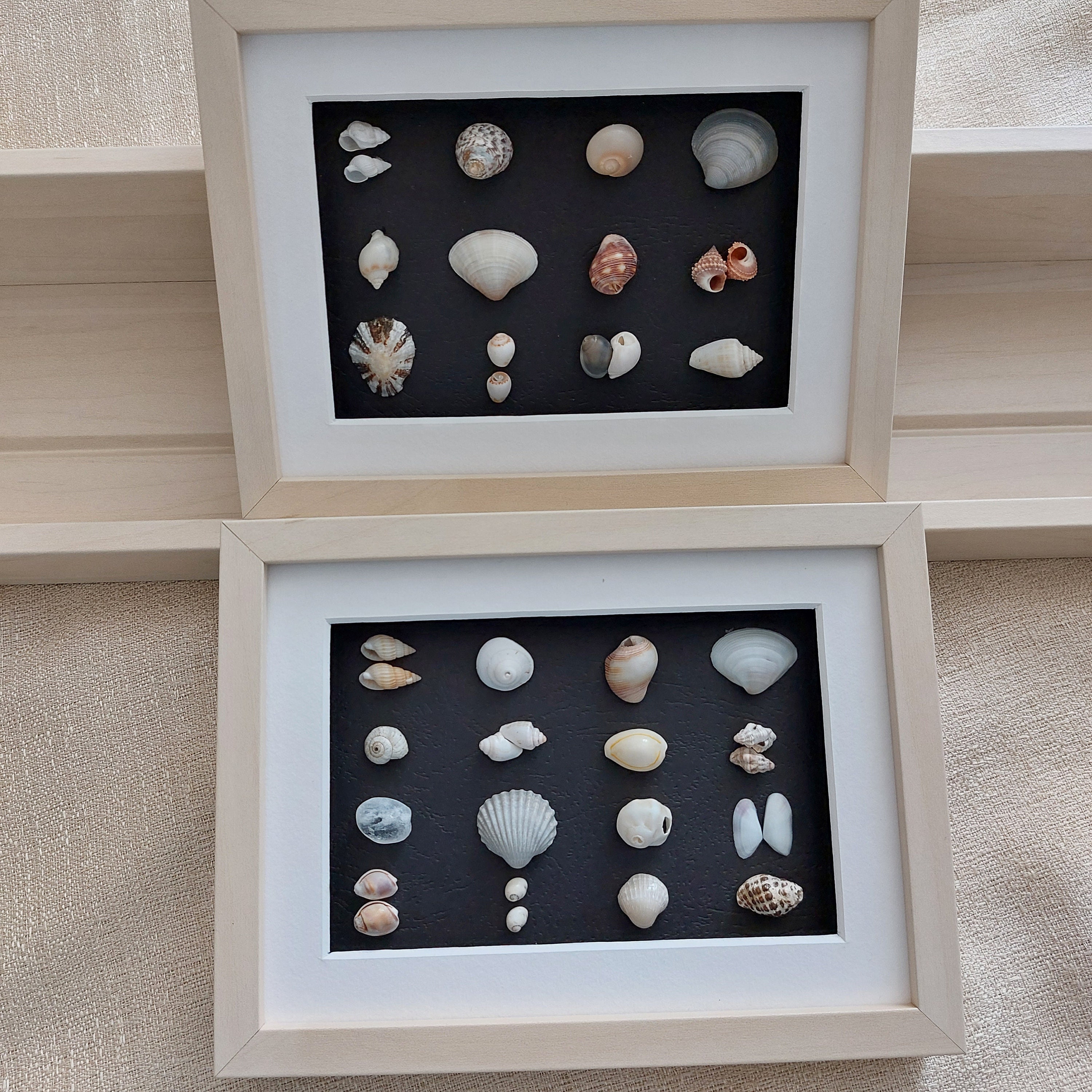 Seashell Collection Set of 2 Sea Shells Wall Art Seashell Mosaic ...