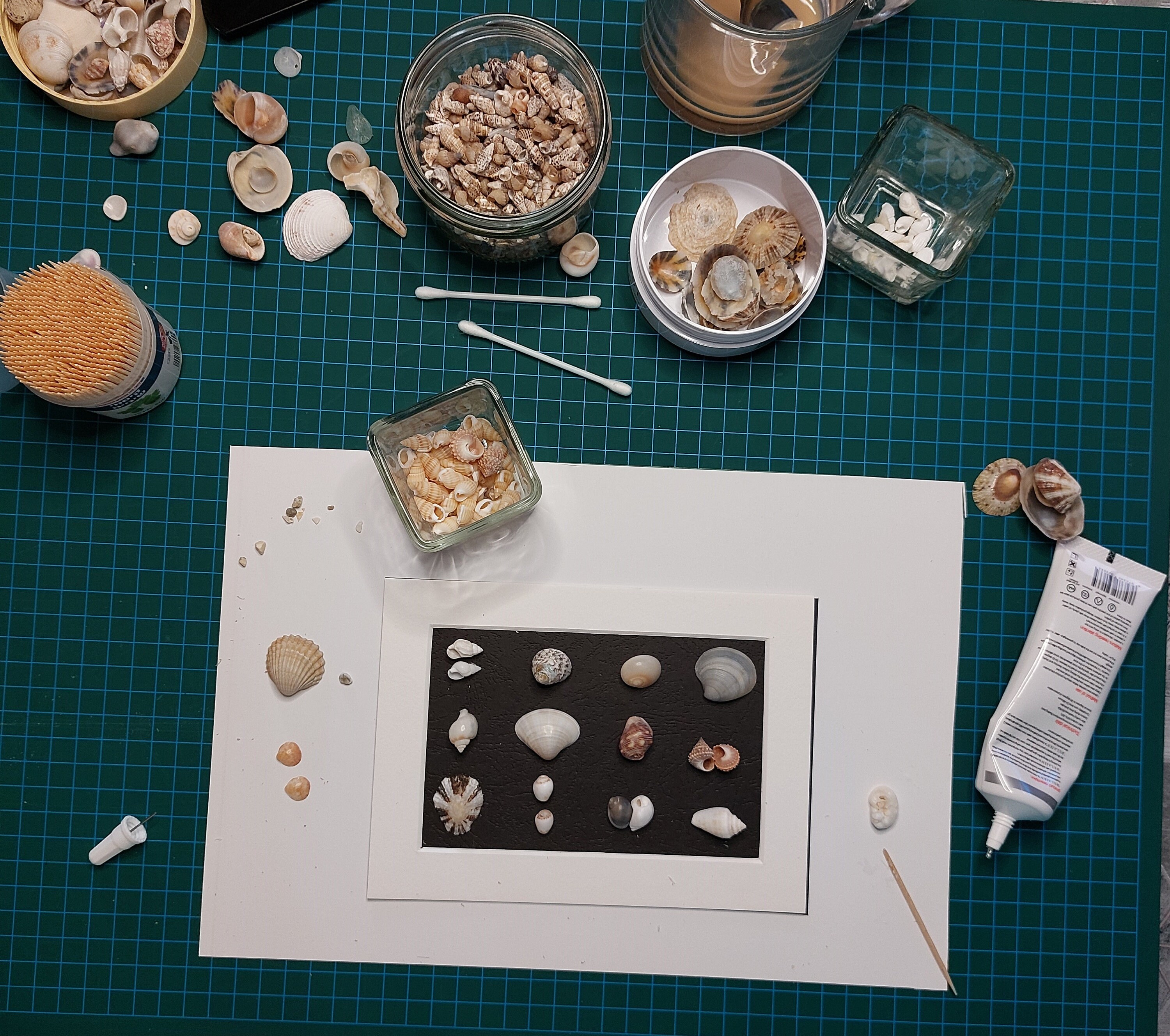 Seashell Collection Set of 2 Sea Shells Wall Art Seashell Mosaic ...