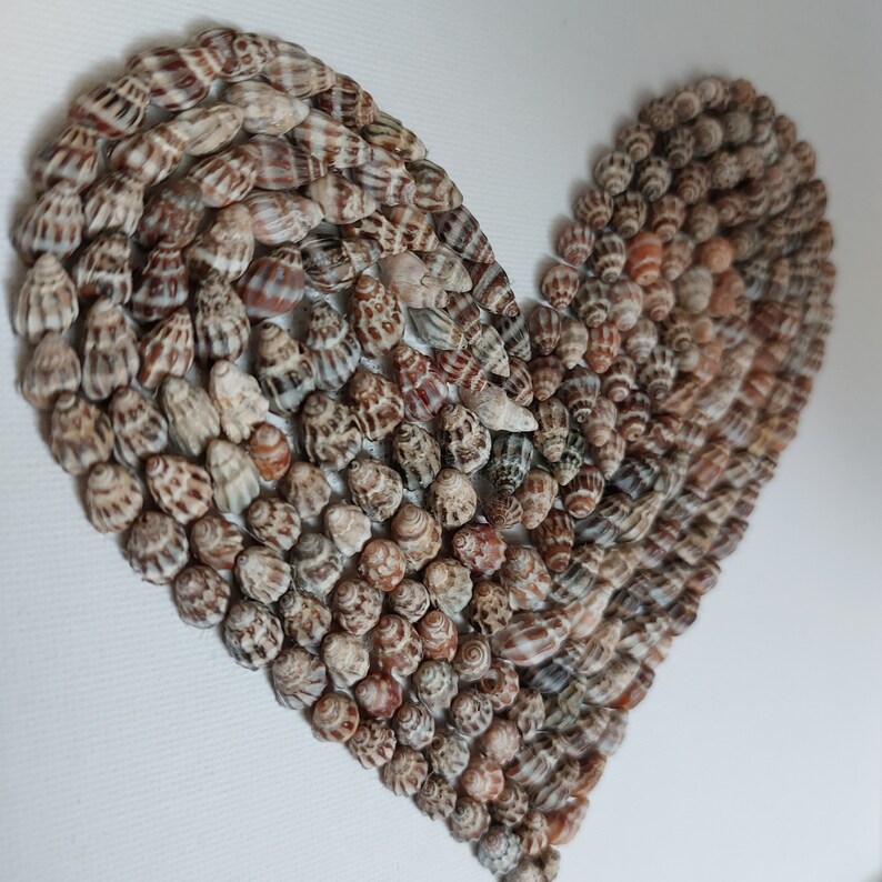 Seashell Heart Sea Shell Heart Wall Art Heart Frame Heart - Etsy