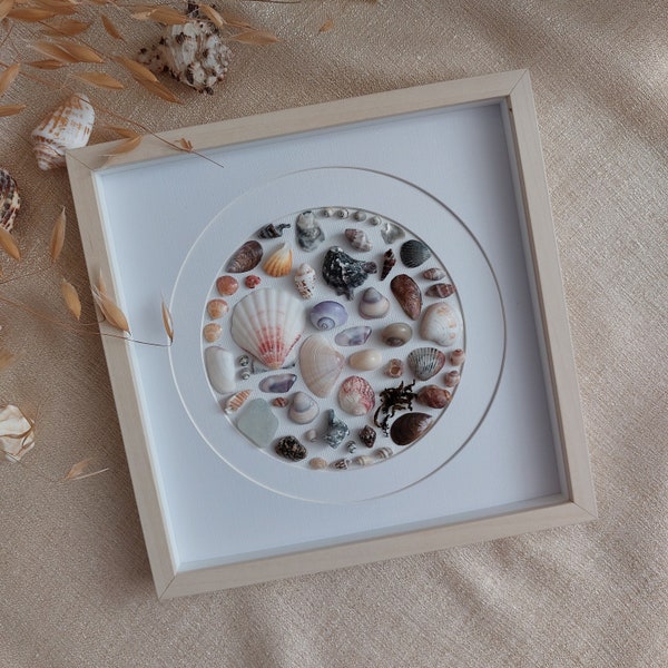 Seashell Decor - Etsy