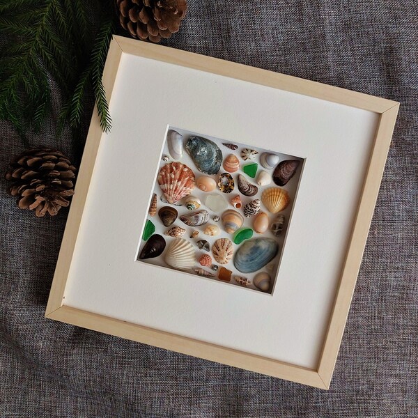 Seashell Art - Etsy