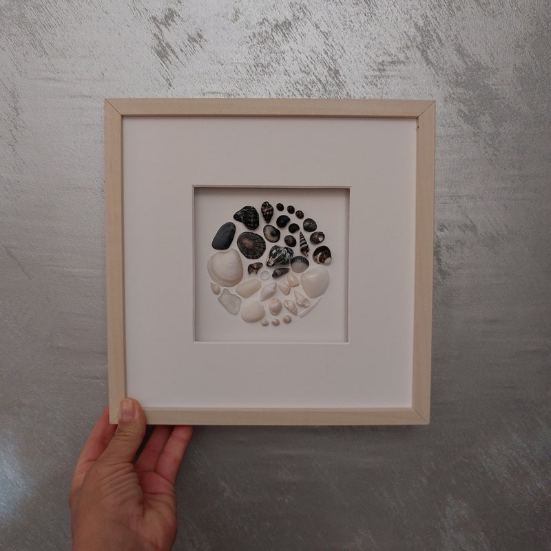 Seashell Art - Etsy