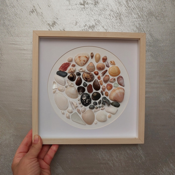 Shell Art Shadow Box - Etsy