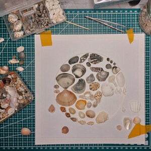 Mosaic Collage Shells White Black Beige Shell Wall Decor Shell Coastal ...