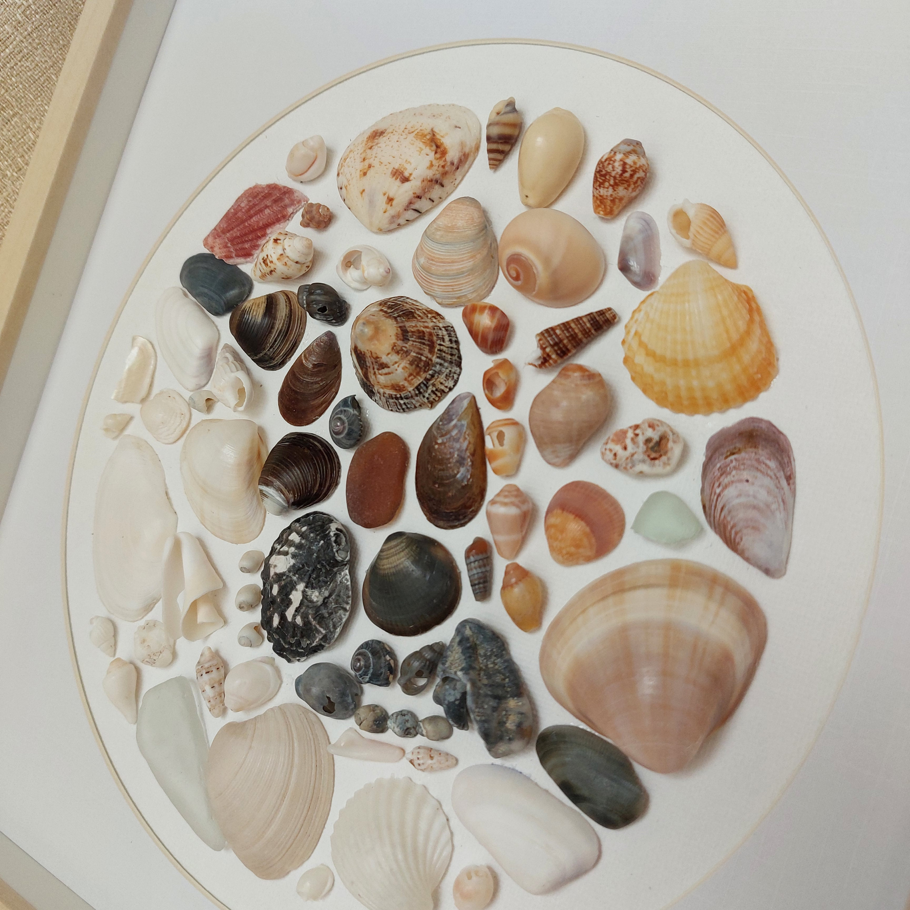 Mosaic Shell Wall Decor Mosaic Framed Collage Sea Glass - Etsy