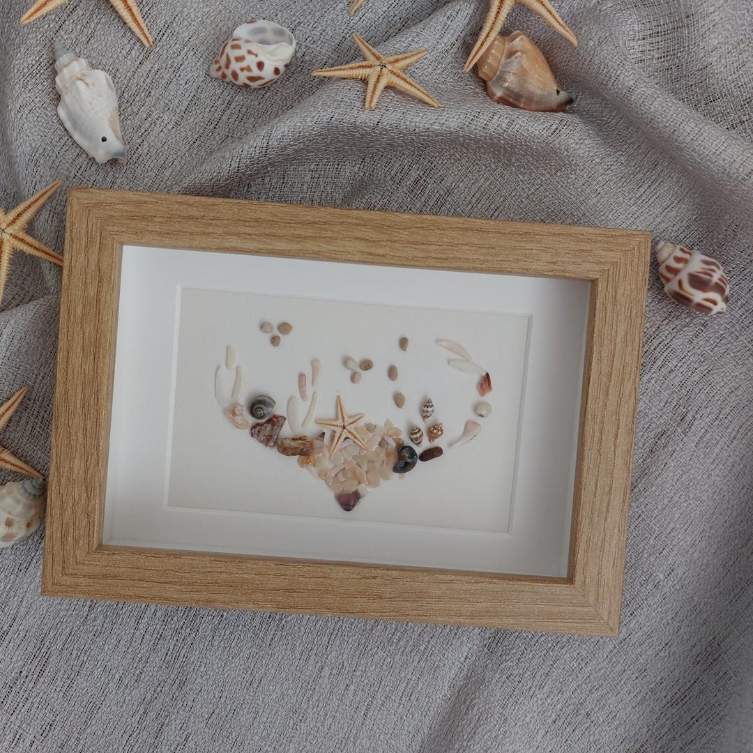 Seabed Pebble Art Shell Fragments Small Starfish Seashell Art 46 Inches ...