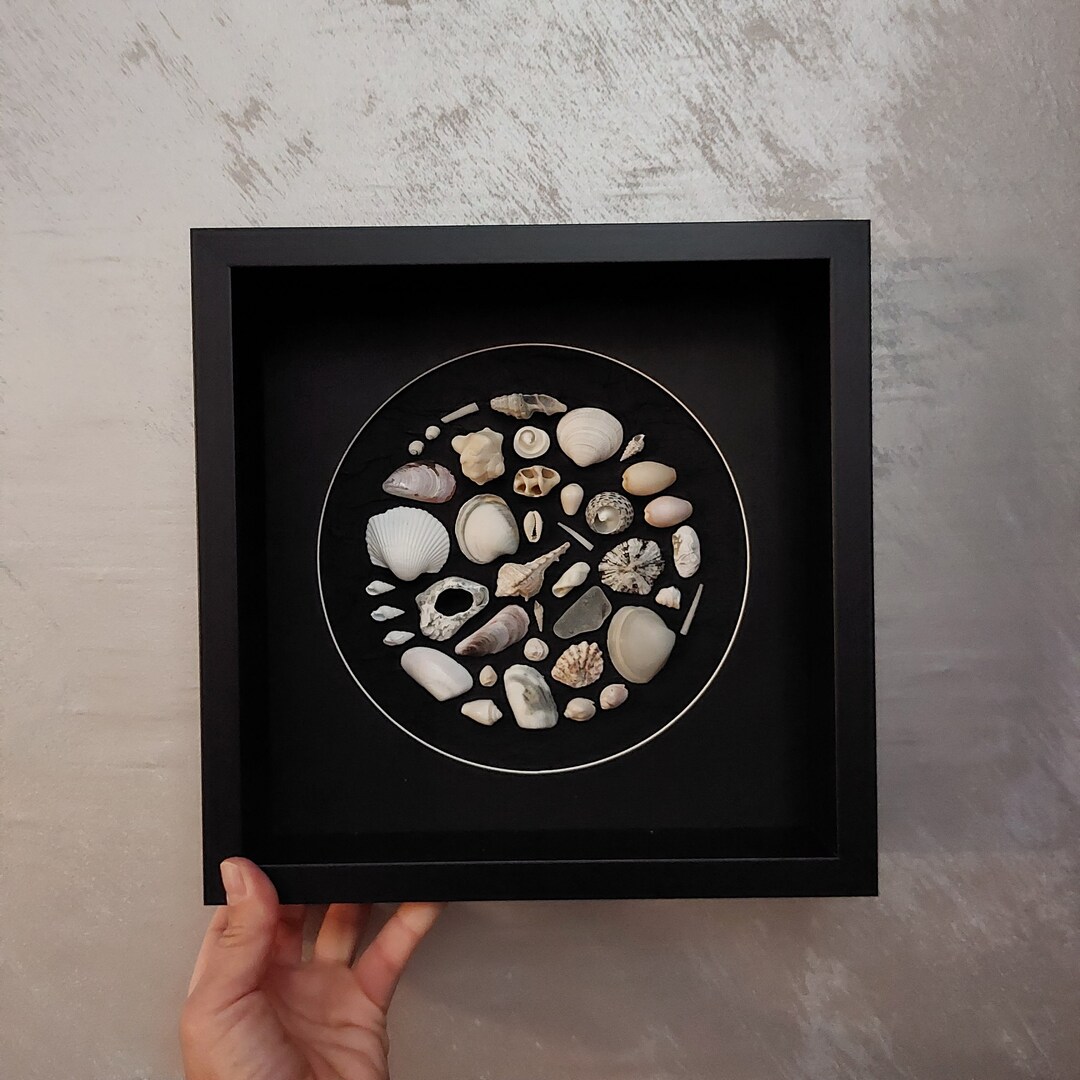 Circle Sea Shell Wall Decor Mosaic Shell Wall Art Collage Shell Art ...