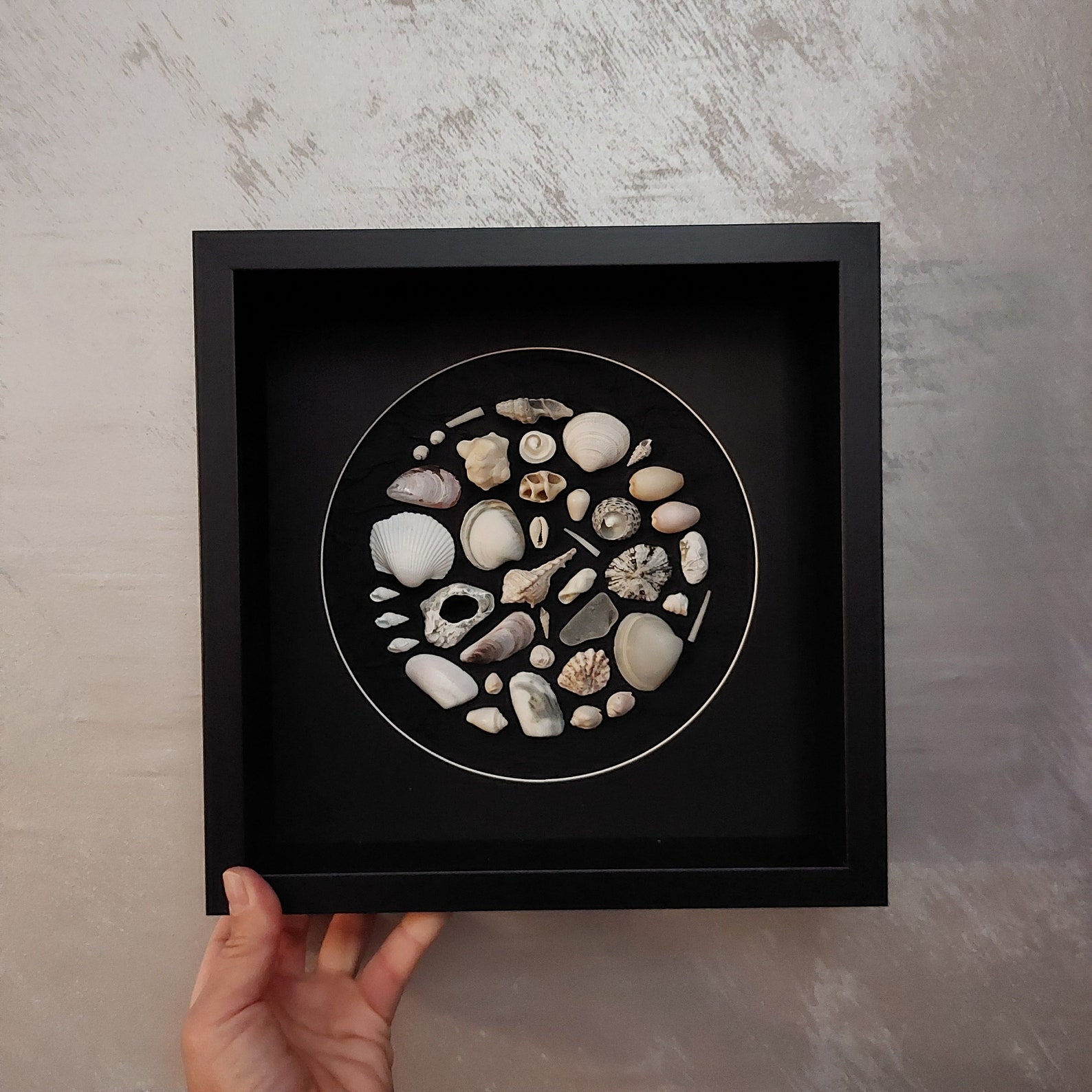 Seashell Circle Wall Decor Shell Collage Art Mosaic Seashell Wall Art ...