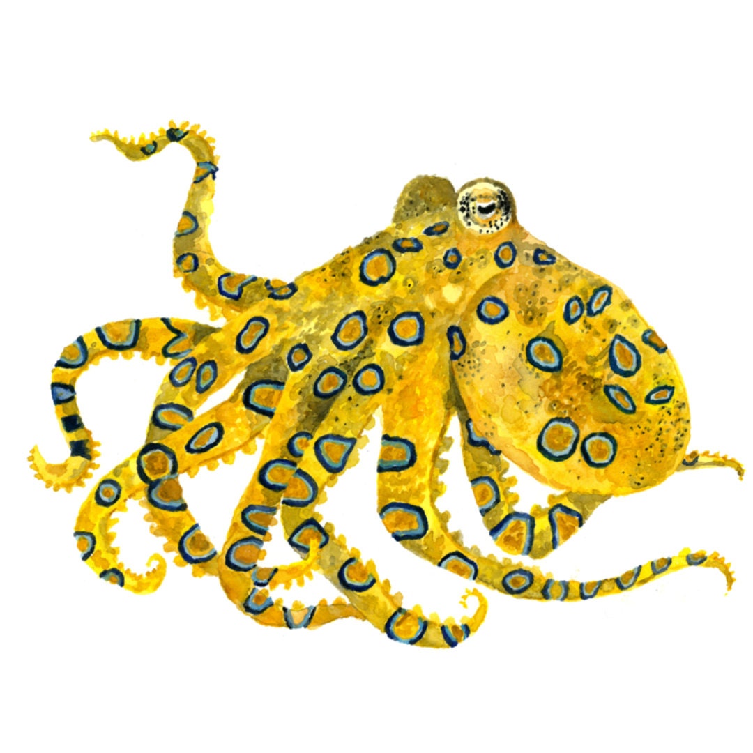 Fabric Blue Ring Octopus Wall Decal, Octopus Wall Sticker, Nursery Room ...