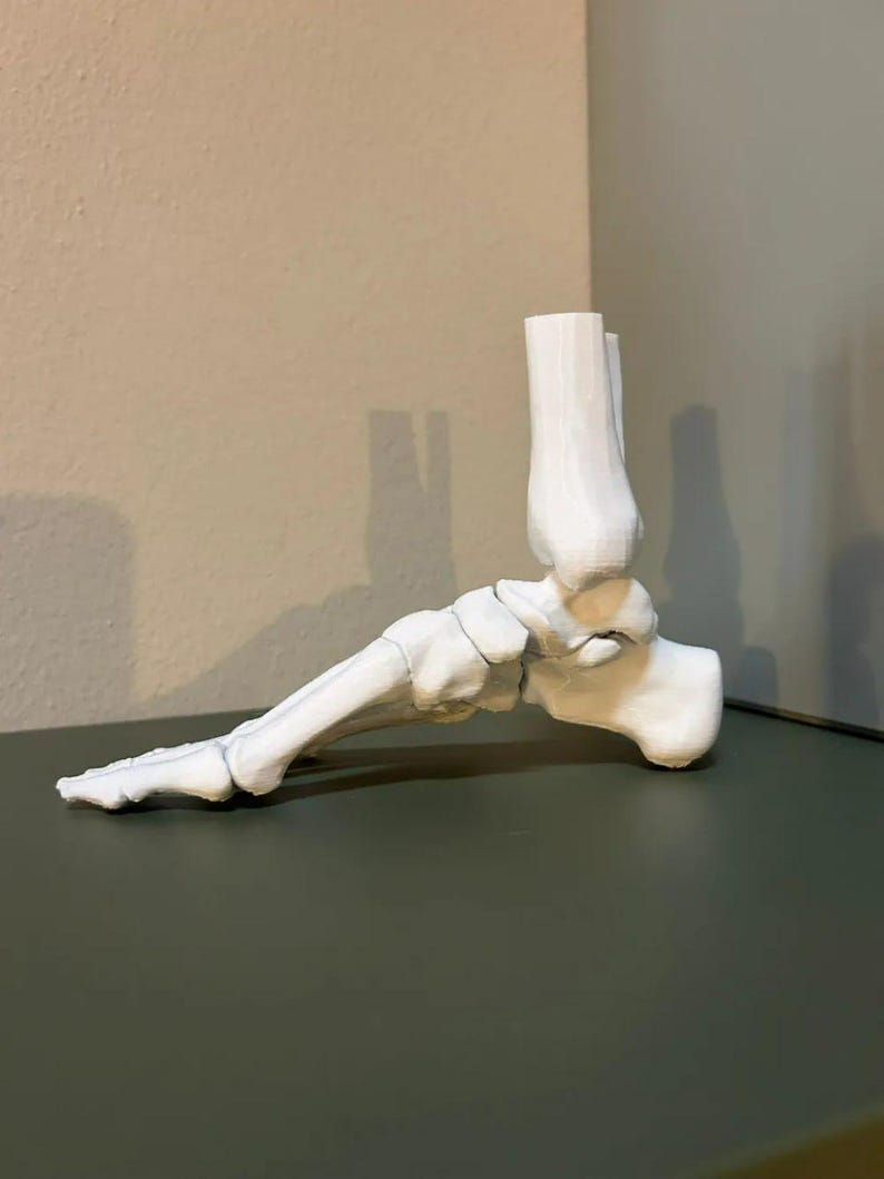 3D Printed Human Foot Bone Anatomy Model STL File for Medical Education ...