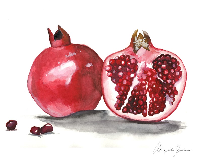 Pomegranate Watercolor Print – 8x10" Botanical Fruit Illustration ...