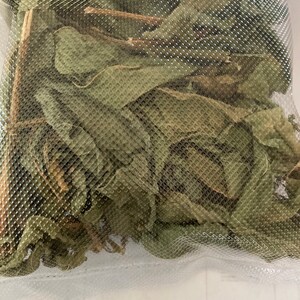 Dried Guinea Hen Weed Anamu Gully Root 1 Oz - Etsy