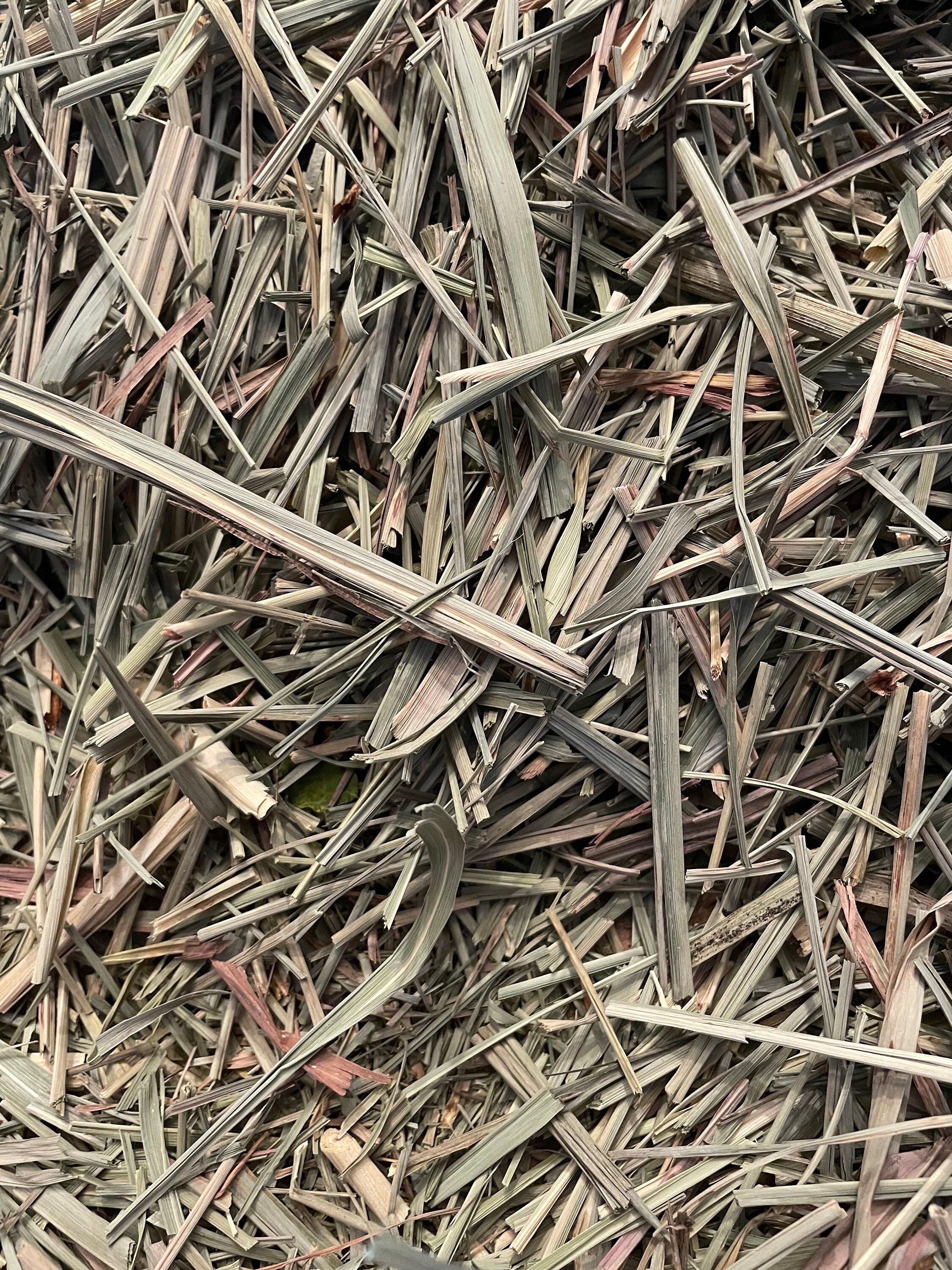 Jamaican Fever Grass lemon Grass Herbal Tea 2oz - Etsy