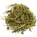 Jamaican Cerasee Seeds/ Bitter Melon Seeds/ Karela Bush Seeds 14+ Seeds ...