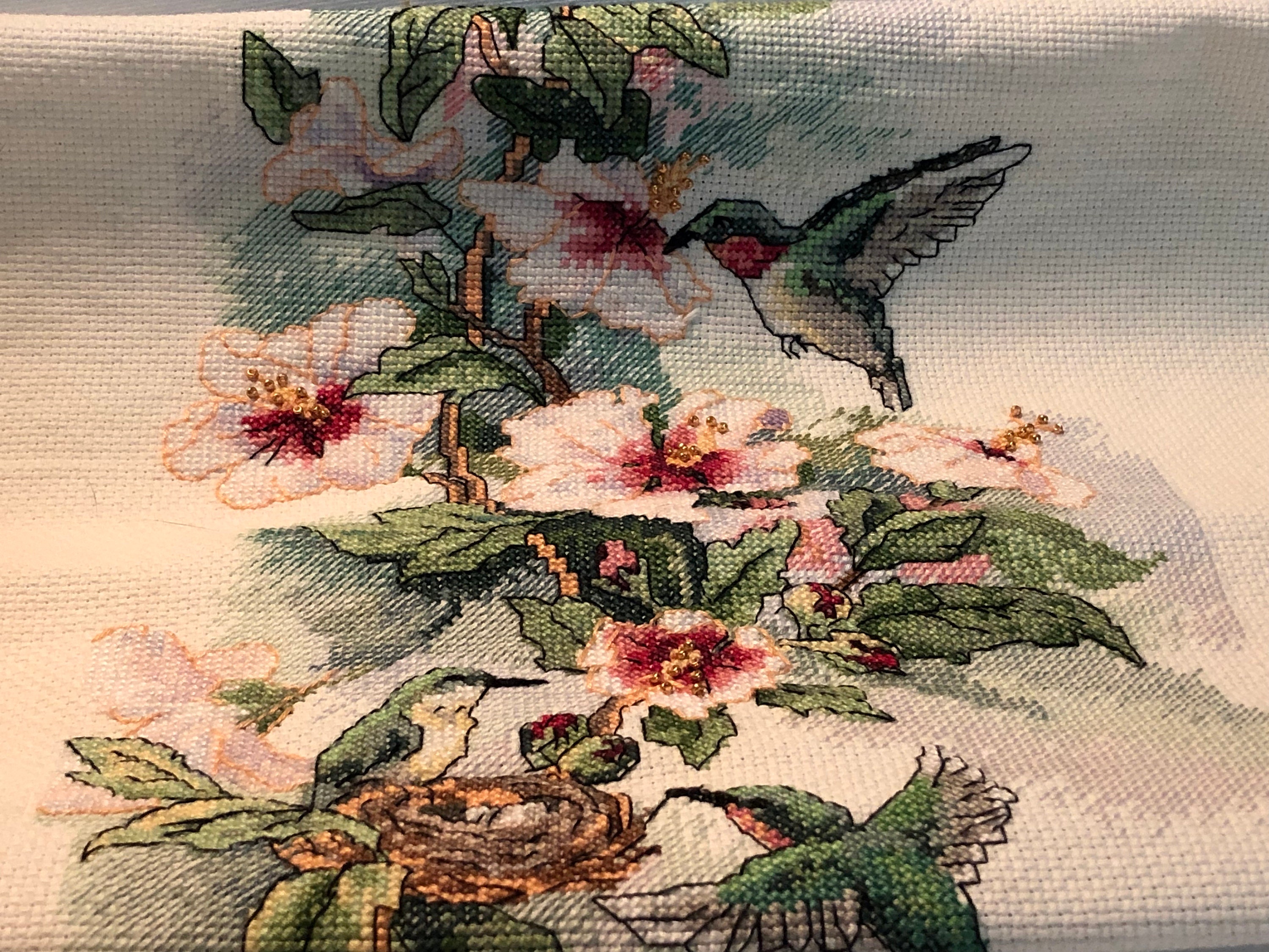 Hummingbirds and Nest Completed Cross Stitch - Etsy