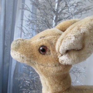 Vintage 1950s Steiff Fawn Deer Large 35cm Standing Roebuck, Firmly ...