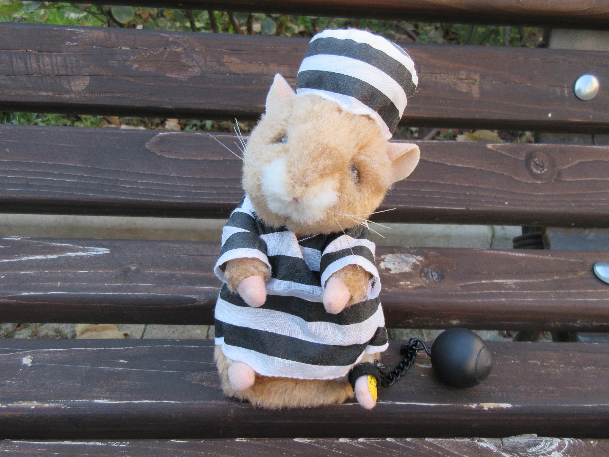 Vintage Gemmy Jailhouse Rock Hamster, Dancing Elvis Toy (2002) - Etsy