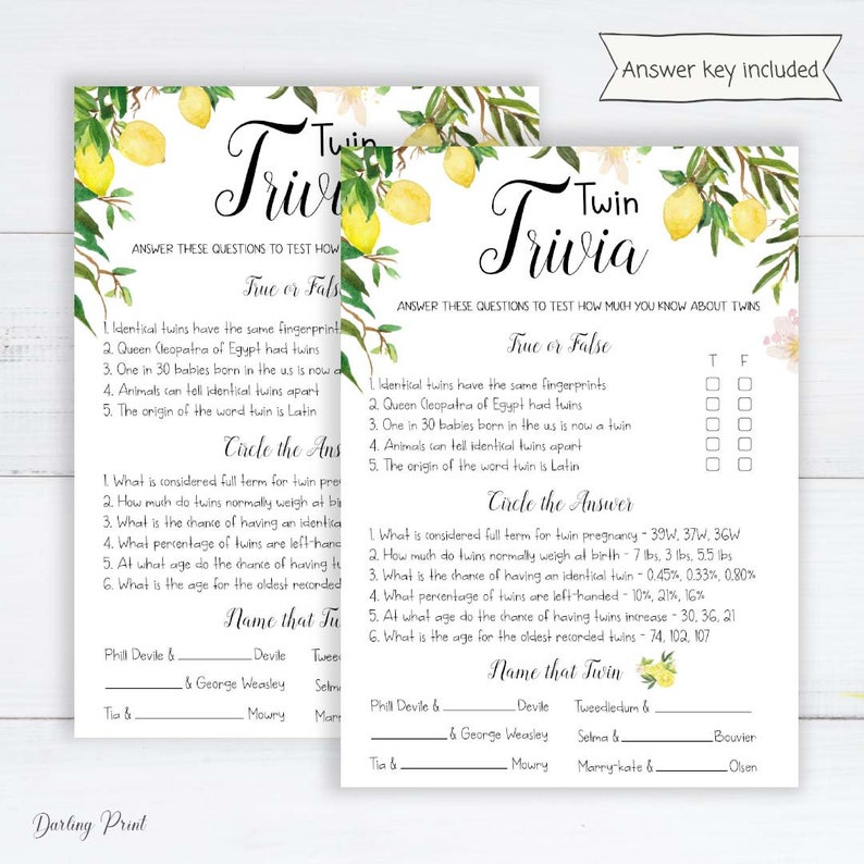 Twin Trivia Baby Shower Games, TRUE or FALSE- Twins Trivia Baby Shower ...