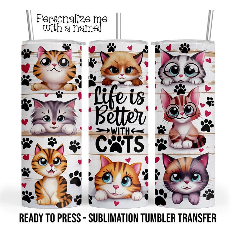 Cat Name Transfers Decals - Etsy