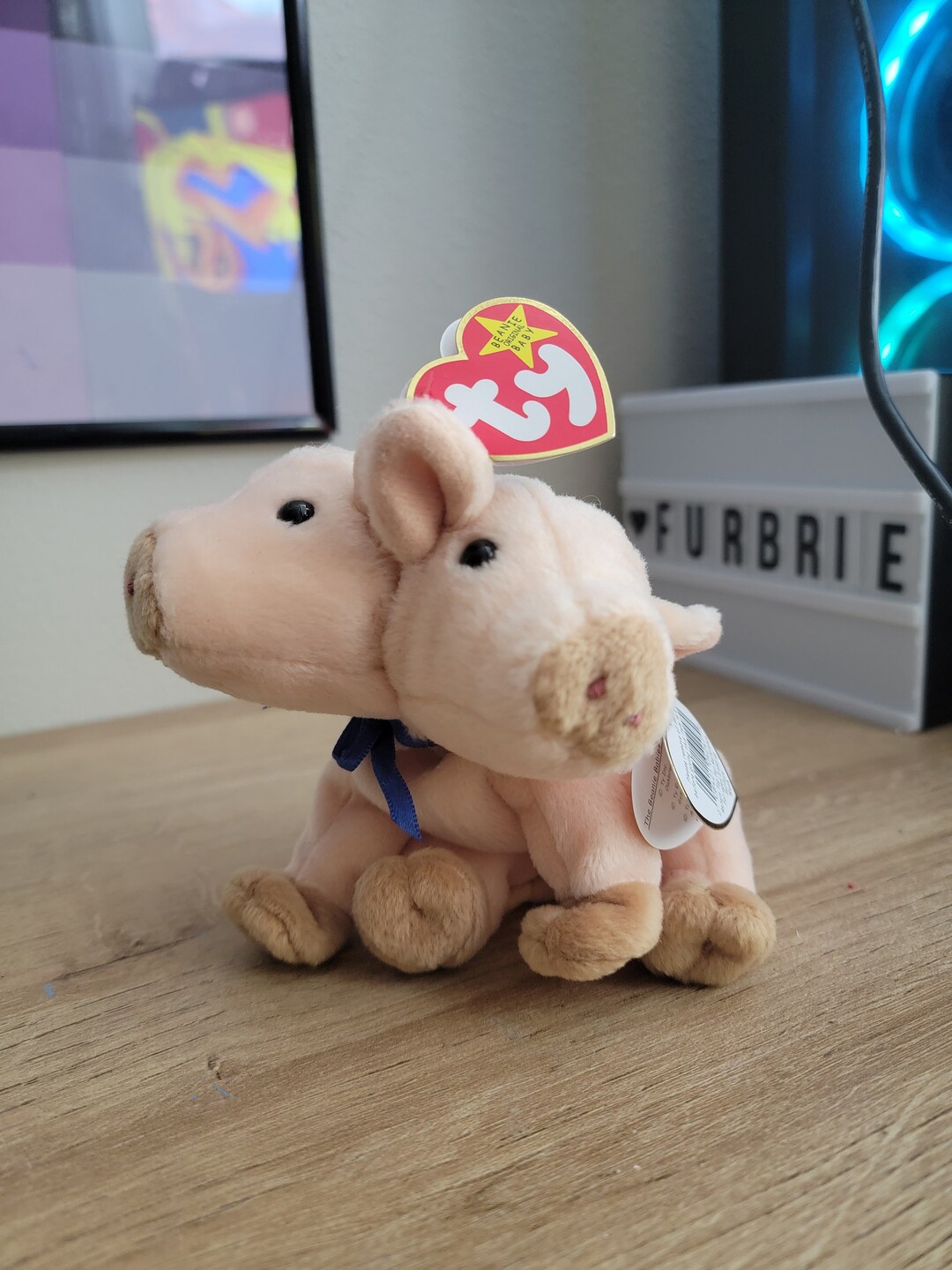 Two Headed Pig Plush - Beanie Baby - Etsy