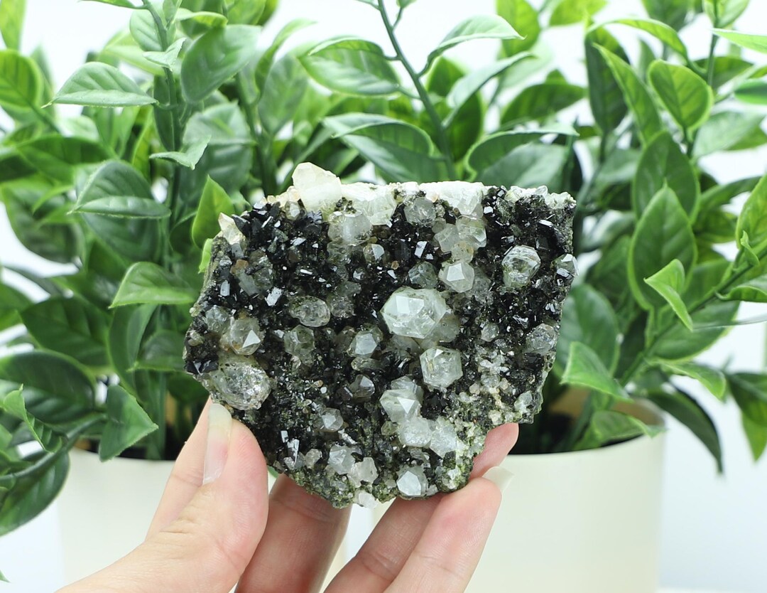 Epidote in Quartz, Fairy Quartz, Forest Quartz, Crystal Collection ...