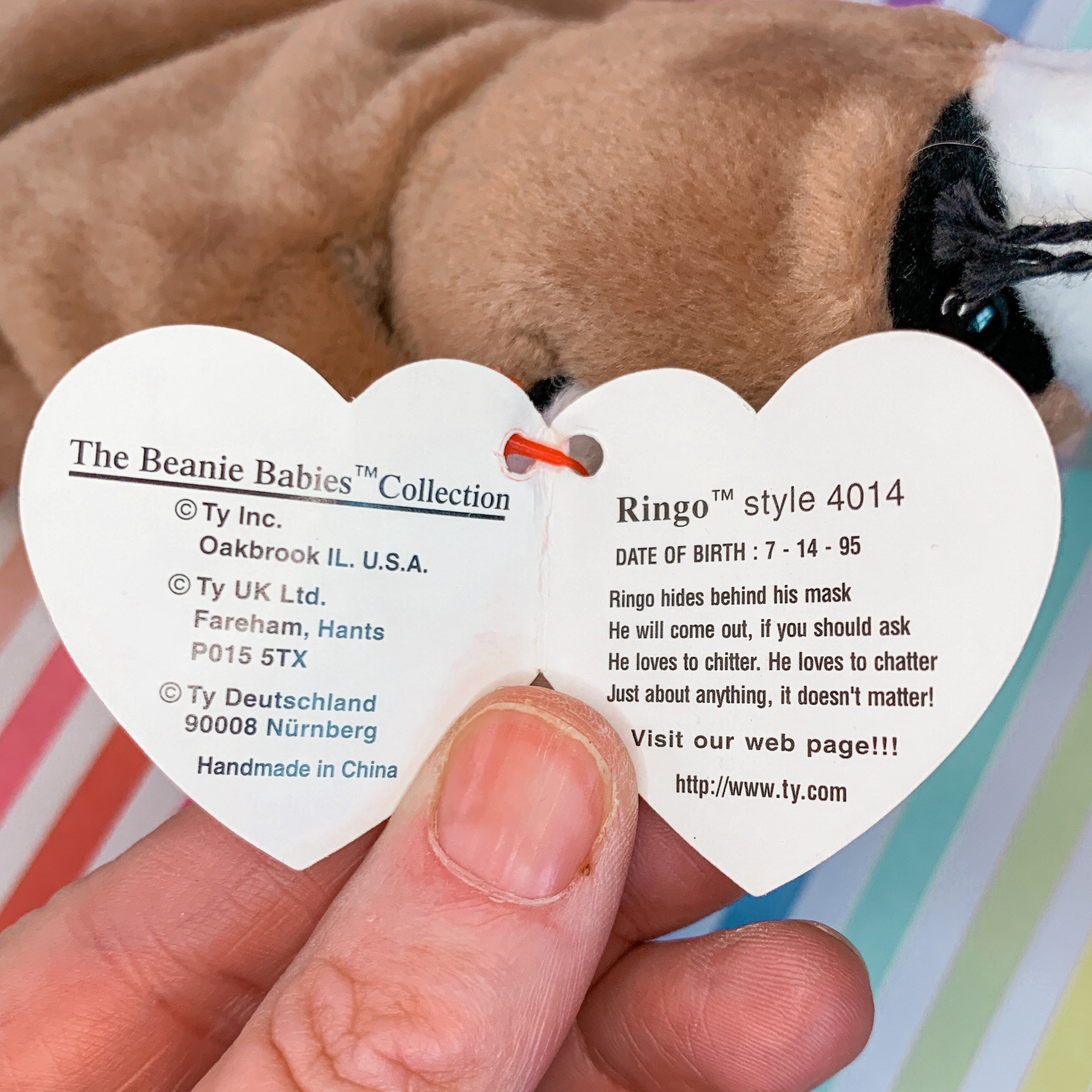 TY Beanie Baby Ringo the Raccoon 1995 MWMT - Etsy