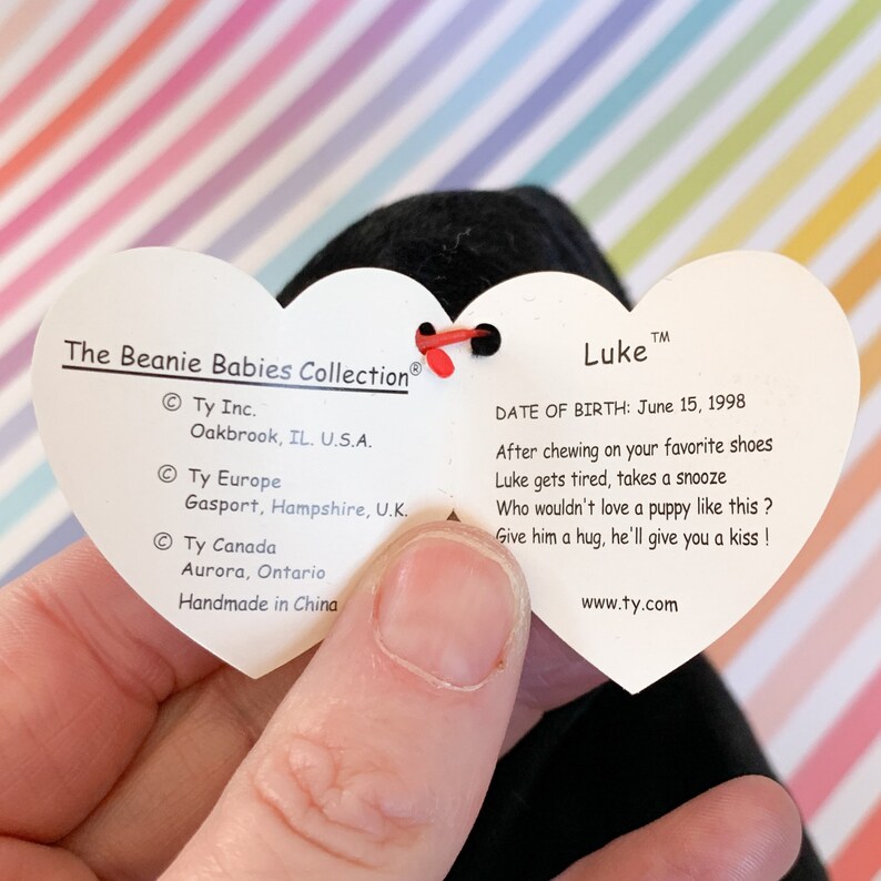 TY Beanie Baby — Luke the Lab Puppy (1999), MWMT - Etsy
