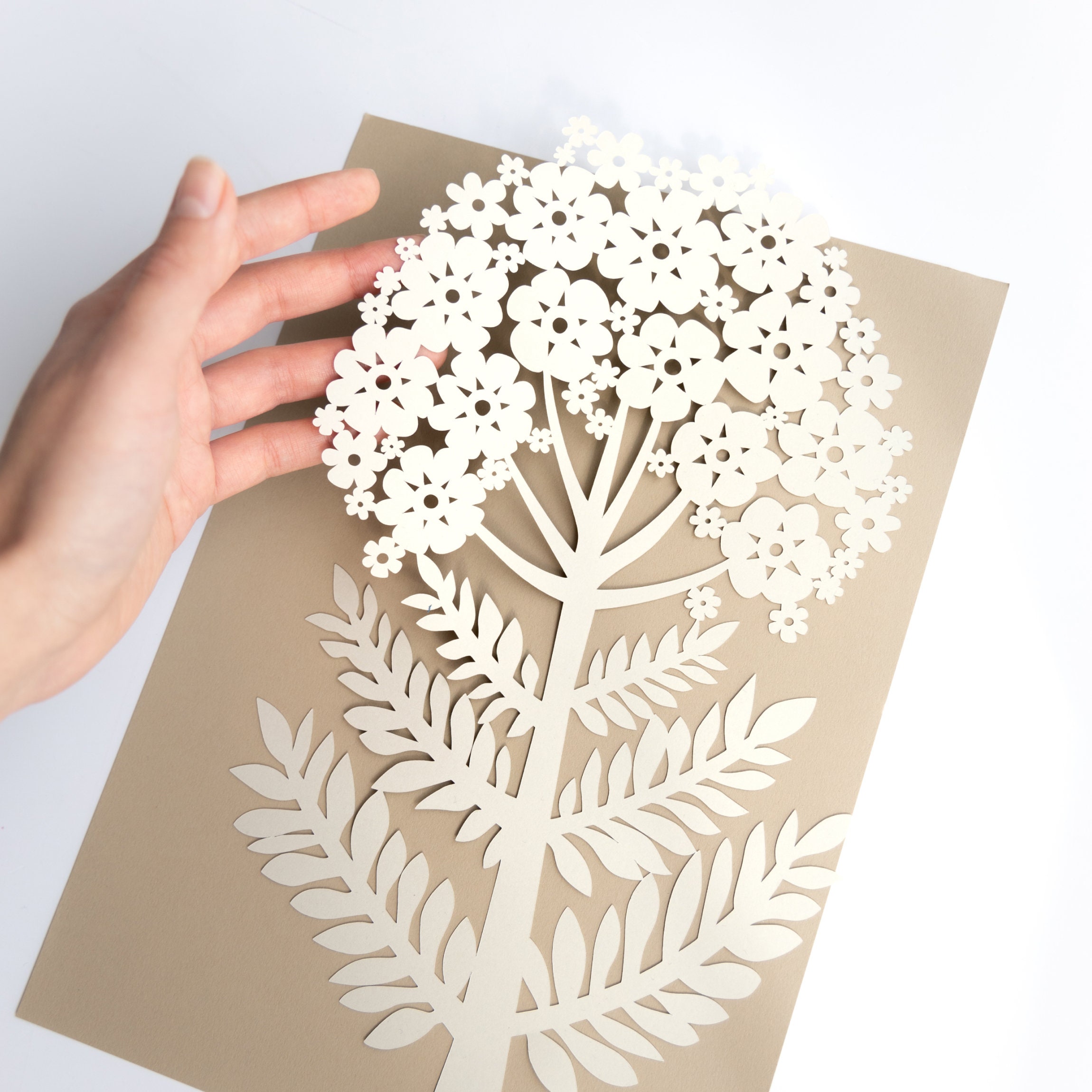 Hydrangea - Digital Papercut Template - PDF SVG JPG - Etsy