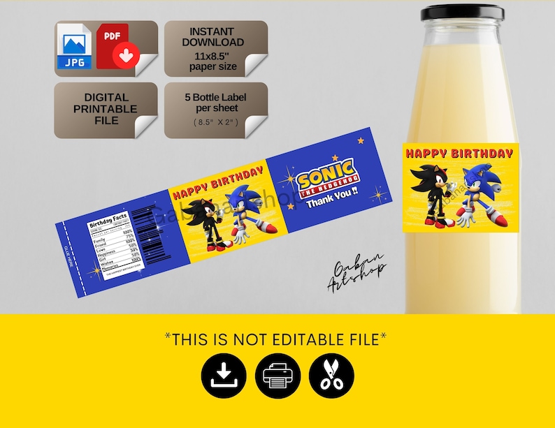 Printable Sonic the Hedgehog Party Kit Sonic the Hedgehog - Etsy