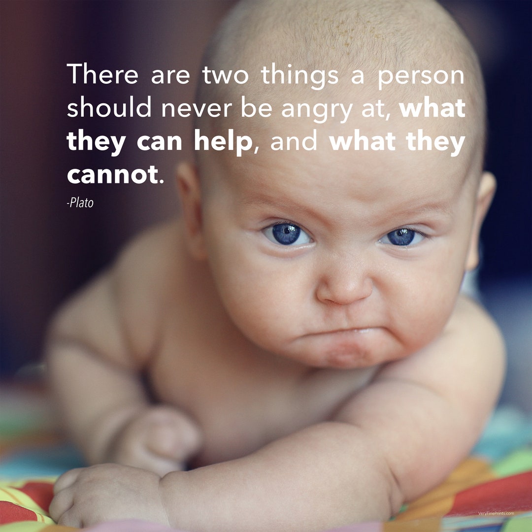 Never Be Angry plato Quote - Etsy