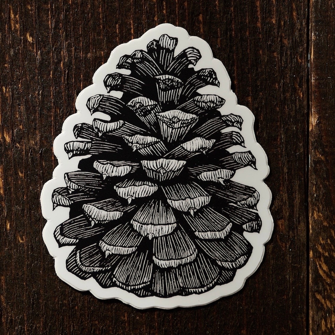 Ponderosa Pine Cone Linocut Sticker - Etsy