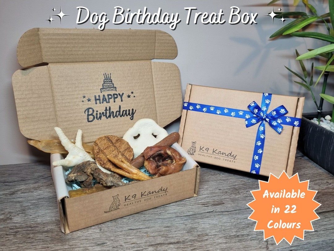 Dog Birthday Treat Box - Etsy
