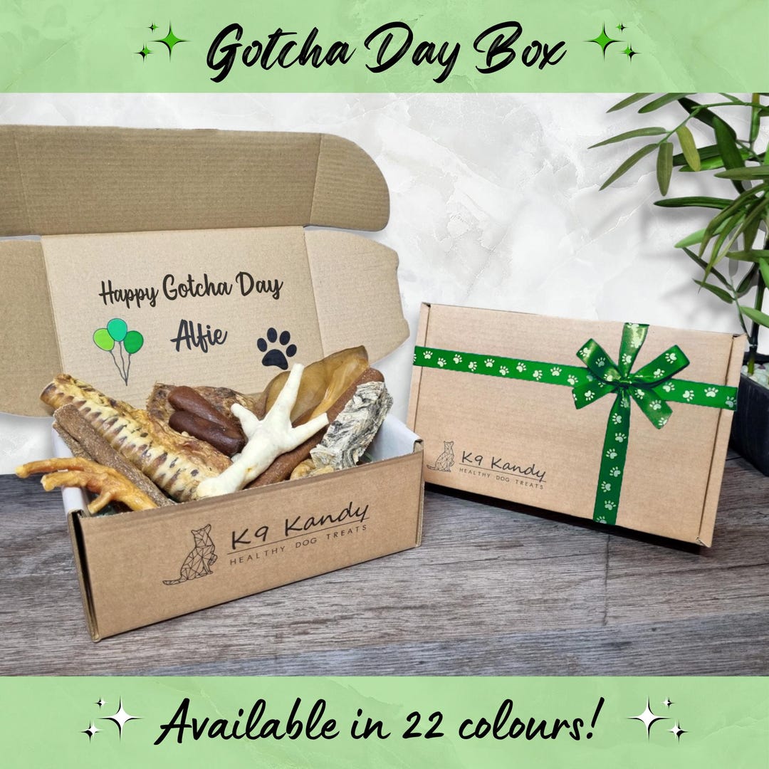Personalised Gotcha Day Boy Dog Treat Box - Etsy