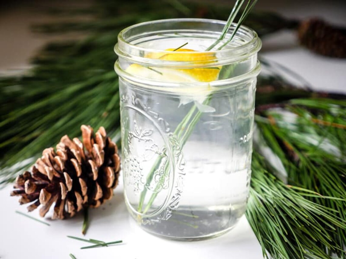 Wild Harvest Fresh Picked Organic Pine Needles for Tea and Extract ...