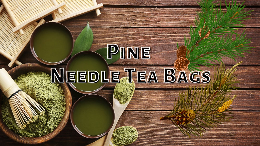 Organic WHITE PINE Needle TEA Bags, Wild Eastern White Pine, Natural ...