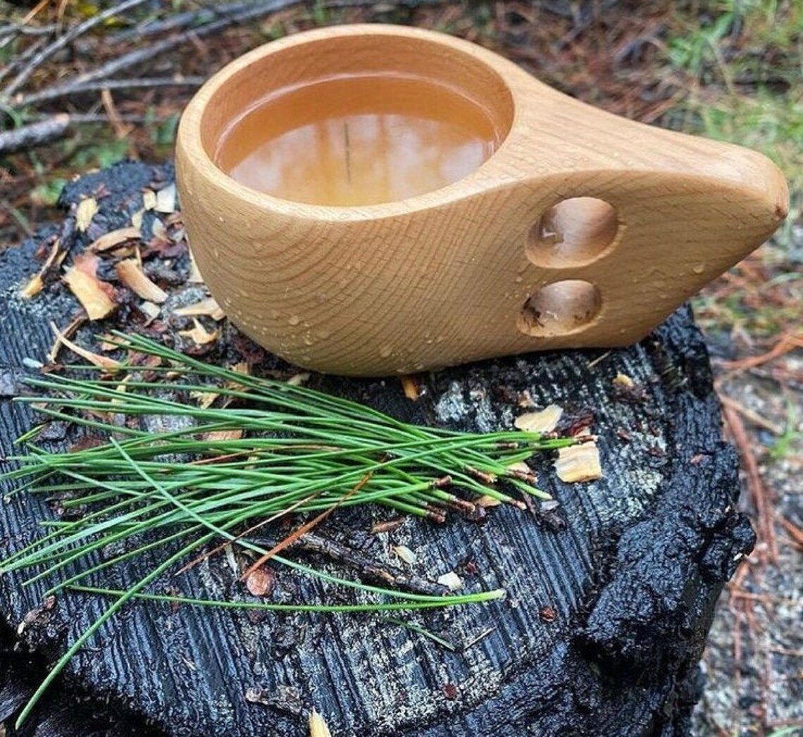 Fresh Scots Pine Needle Tea pinus Sylvestris Wild Foraged, Small Batch ...