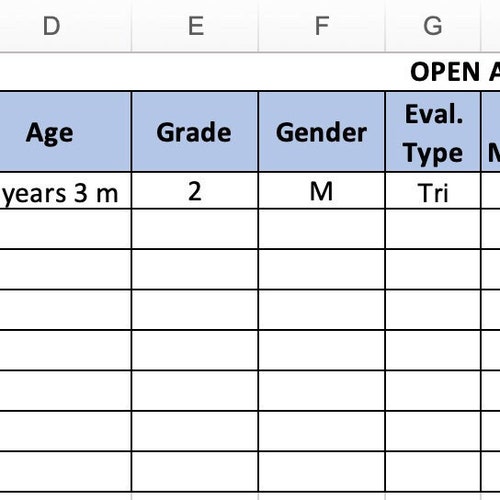Assessment Tracker Spreadsheet school Psych Organization - Etsy