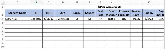 Assessment Tracker Spreadsheet school Psych Organization - Etsy