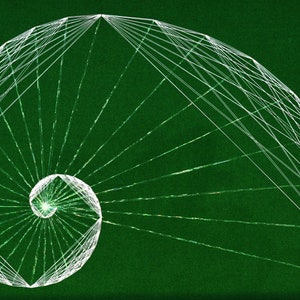 Fibonacci String Art - Etsy