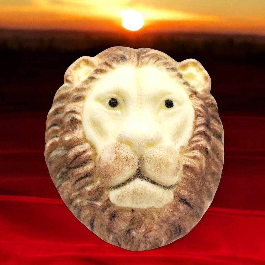 Lion Head Soap, Animal Lovers, Big Cat Lovers, Lion Lovers, Zoo Worker ...