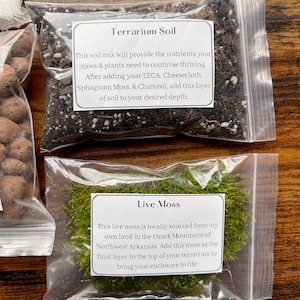 Build Your Own Terrarium Kit | Plant Gift Idea - Etsy