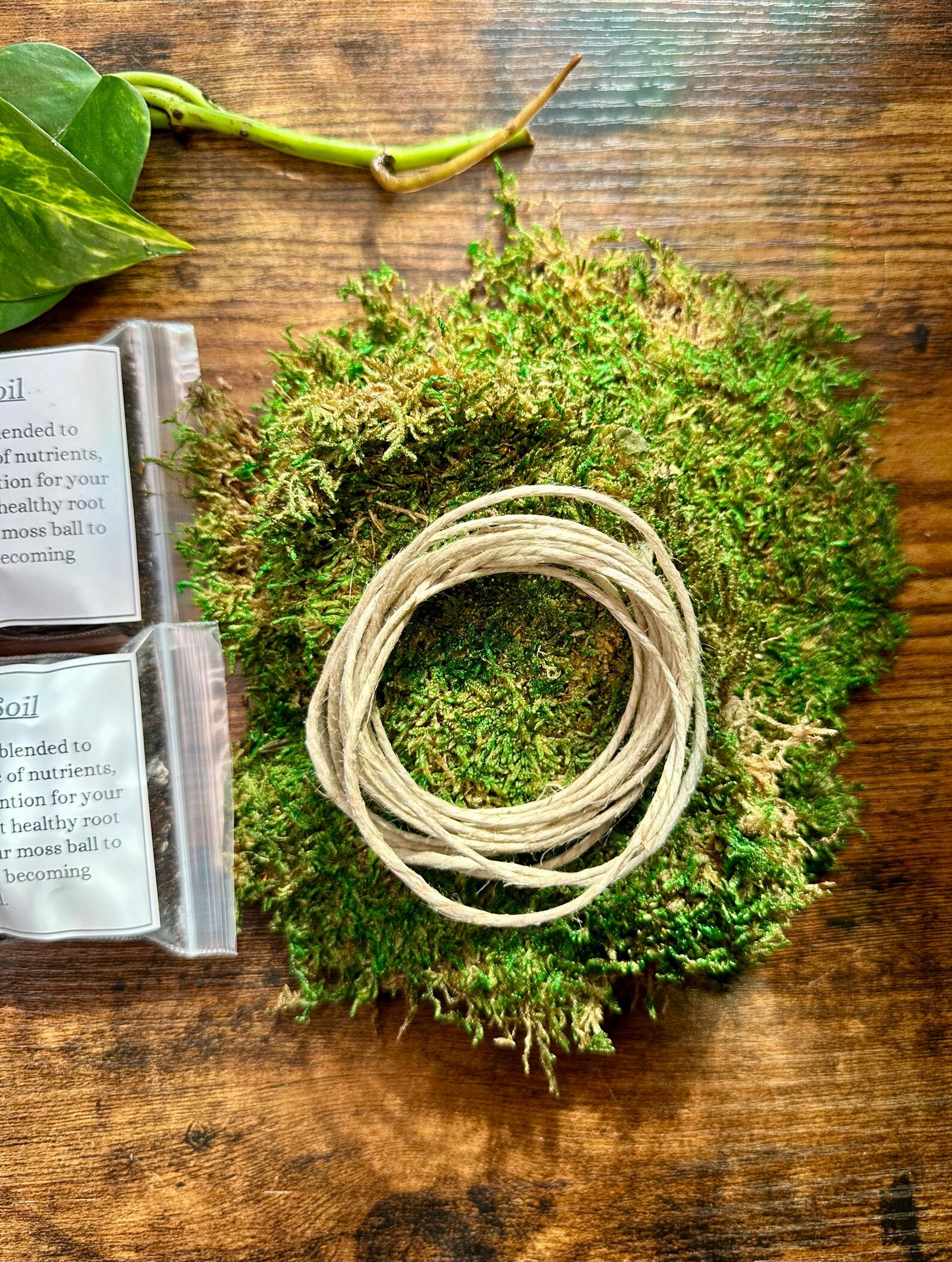 Build Your Own Kokedama Kit | Plant Gift Idea - Etsy
