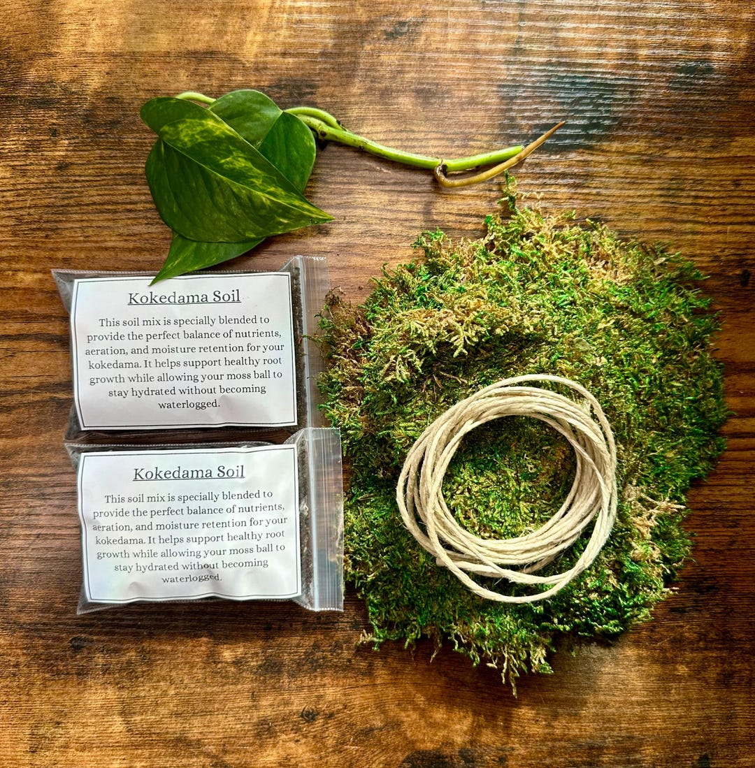 Build Your Own Kokedama Kit | Plant Gift Idea - Etsy