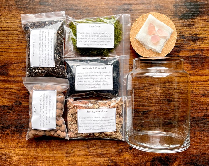 Build Your Own Terrarium Kit | Plant Gift Idea - Etsy