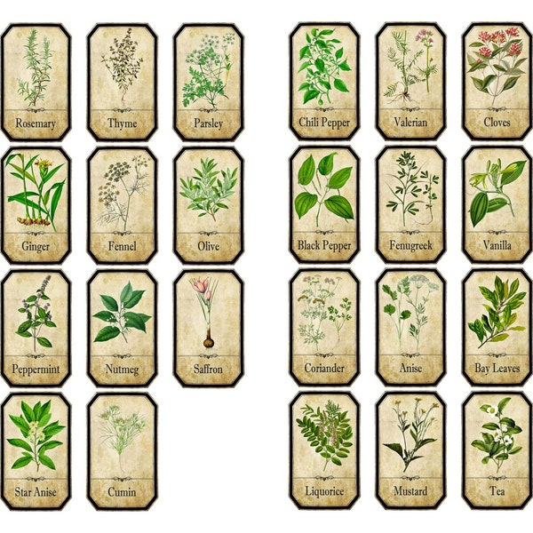 Spice Labels - Etsy
