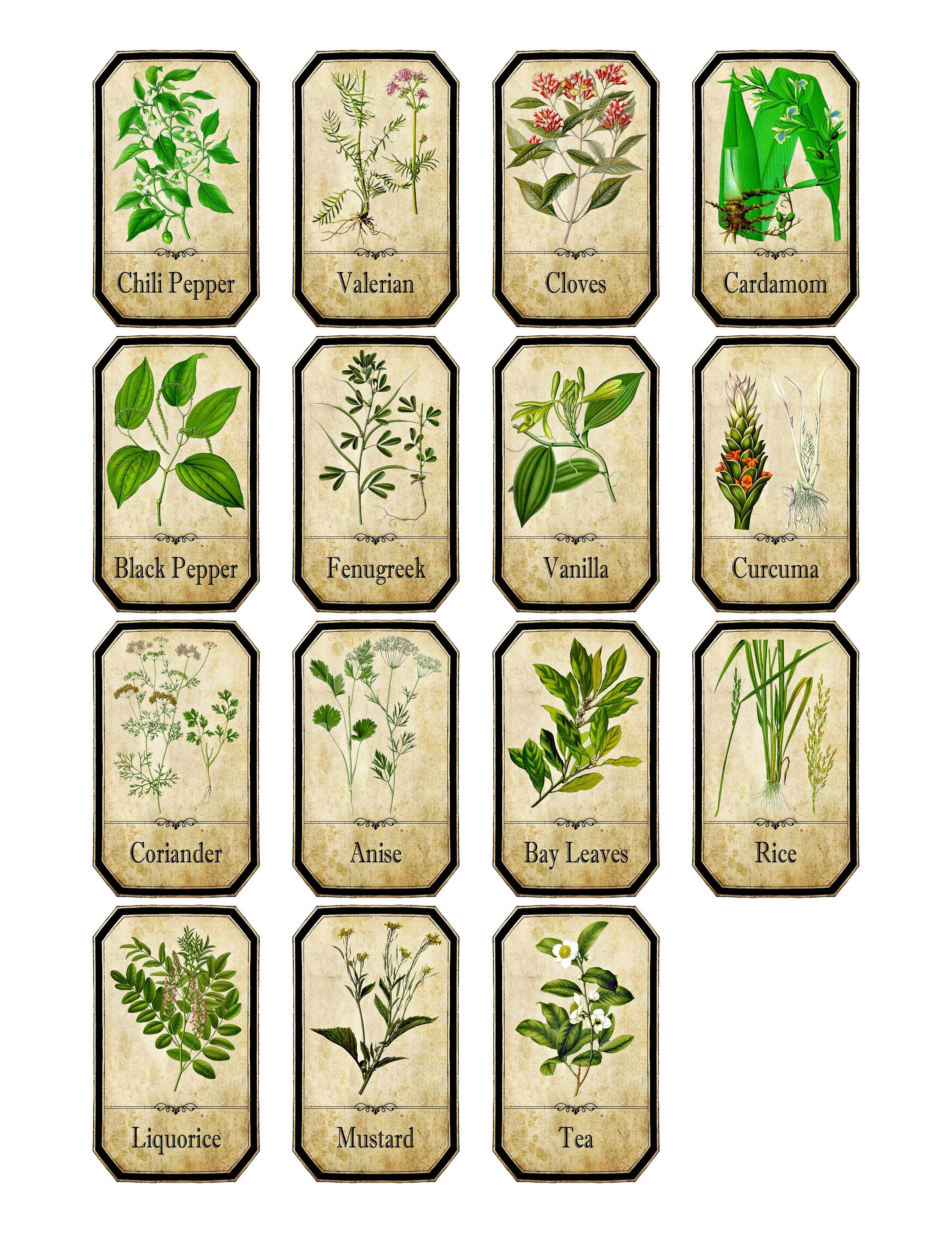 Set of Vintage Style Apothecary Spice Herb Labels Sticky | Etsy UK